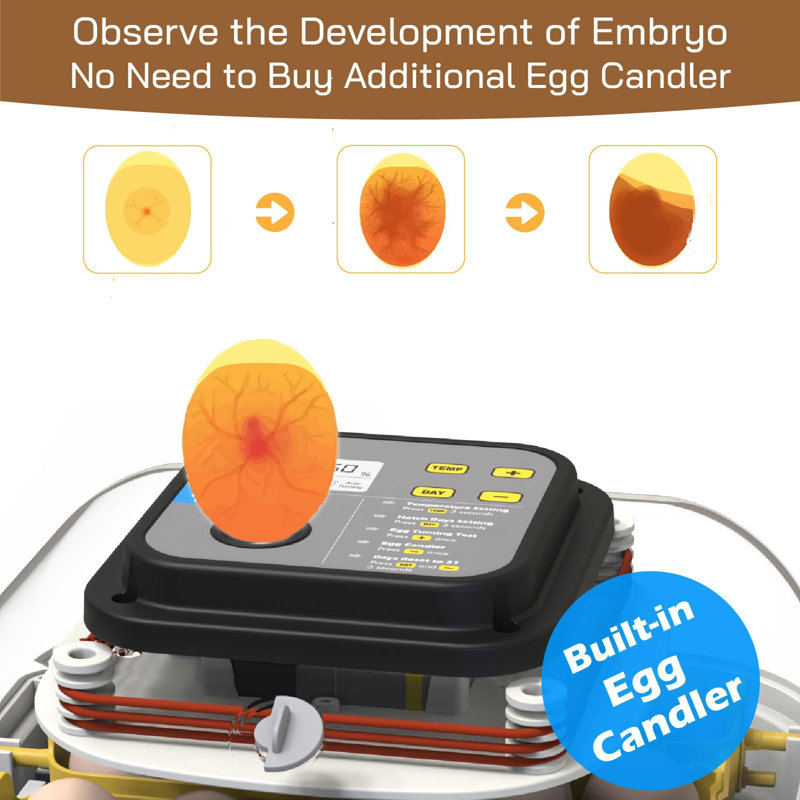 Latitude Run® 20 Egg Incubator With Humidity Display, Egg Candler, Automatic Egg Turner, For ...